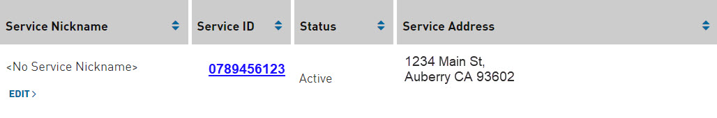 Where can I find my Detail of Bill Statements?