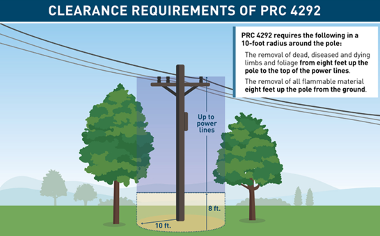 What tree work is done near poles and towers?