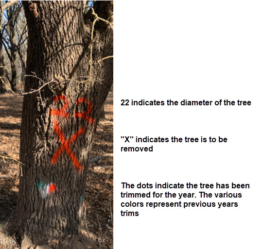 How are trees marked for trimming or removal? What are the different markings and what do they mean?