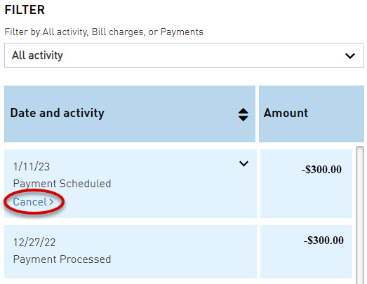 How do I change or edit my pending payment?