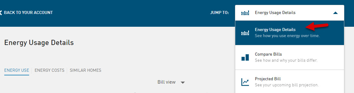 How do I view daily and hourly usage information? (Residential customers)