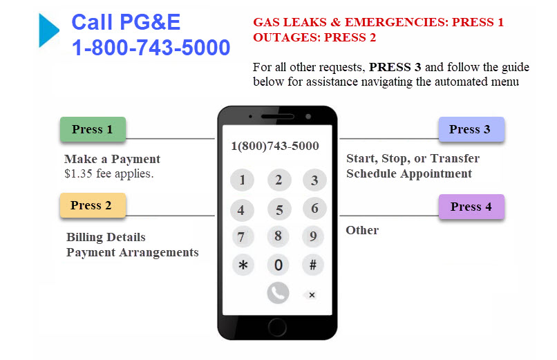 What options are available in the automated phone system?