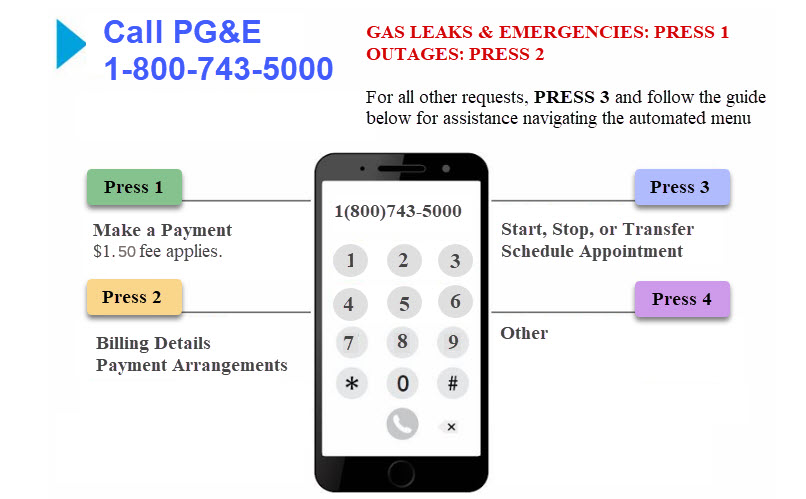 What options are available in the automated phone system?